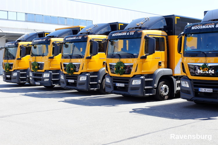 Karriere - MOOSMANN & CO